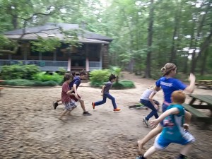 Grassroots School – Freedom and Democracy in Education